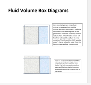 Fluid Volume Box Diagrams - National IV Association